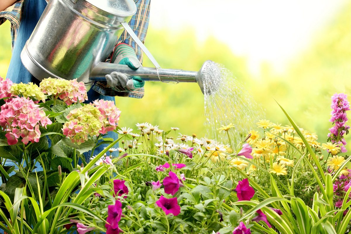 Why Your Home Should Have Garden - Sustainable Man